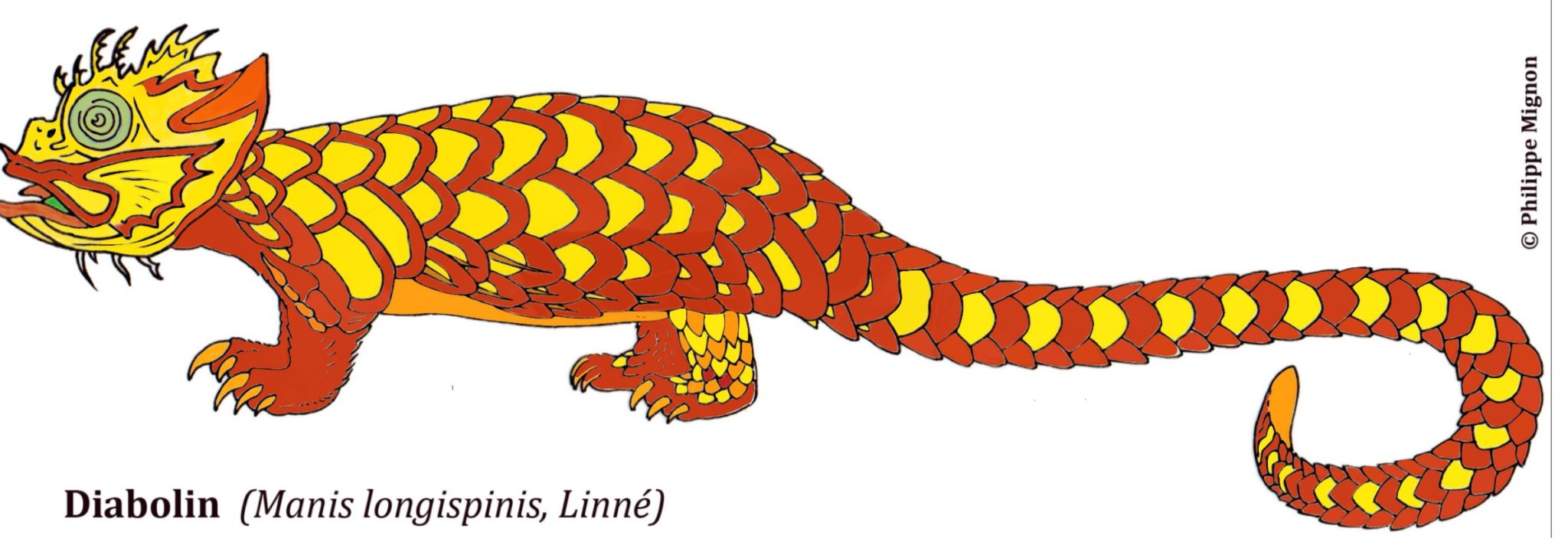 Le diabolin | délibéré