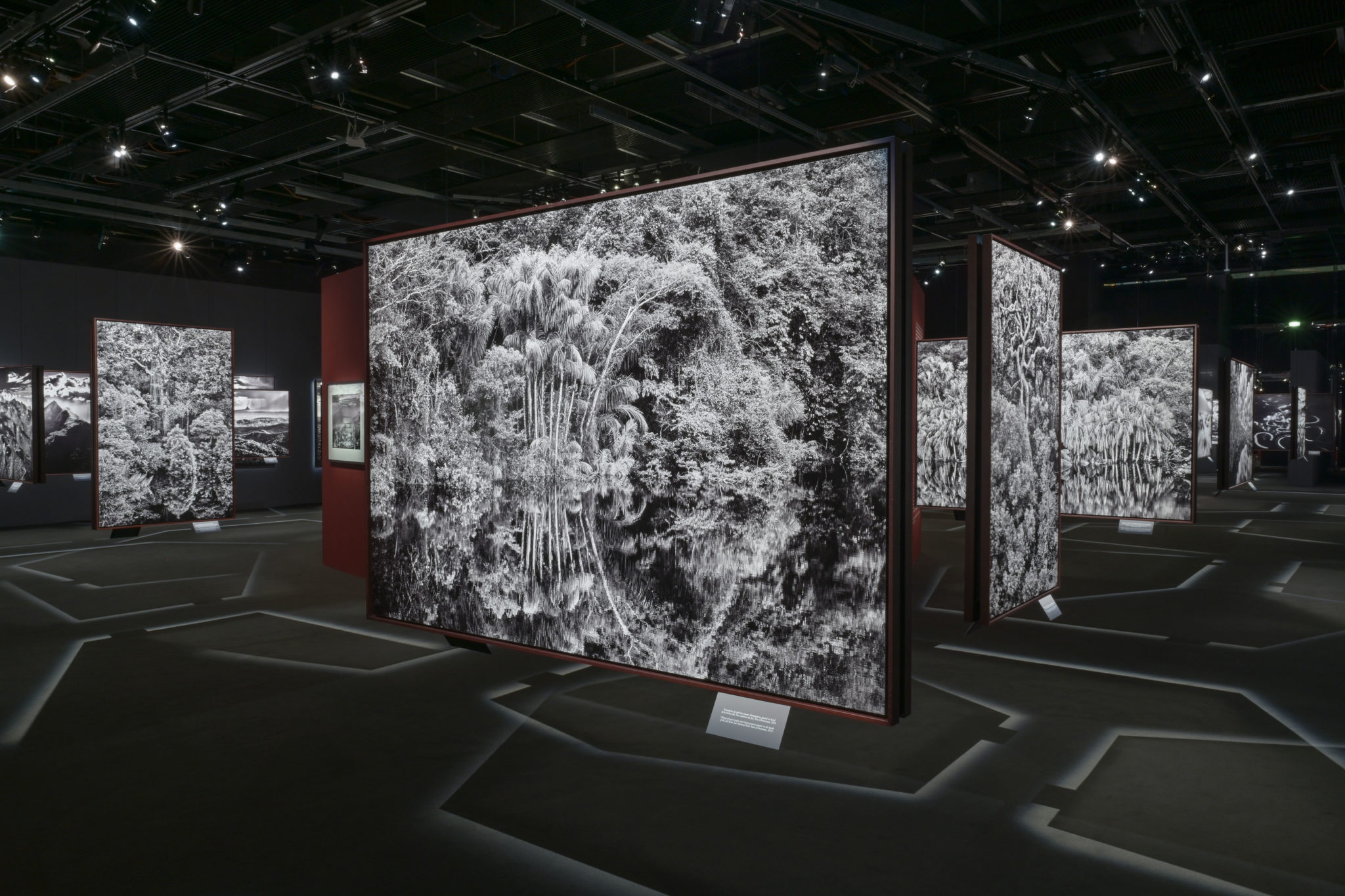 Bob Dylan — L'Amérique de... — délibéré